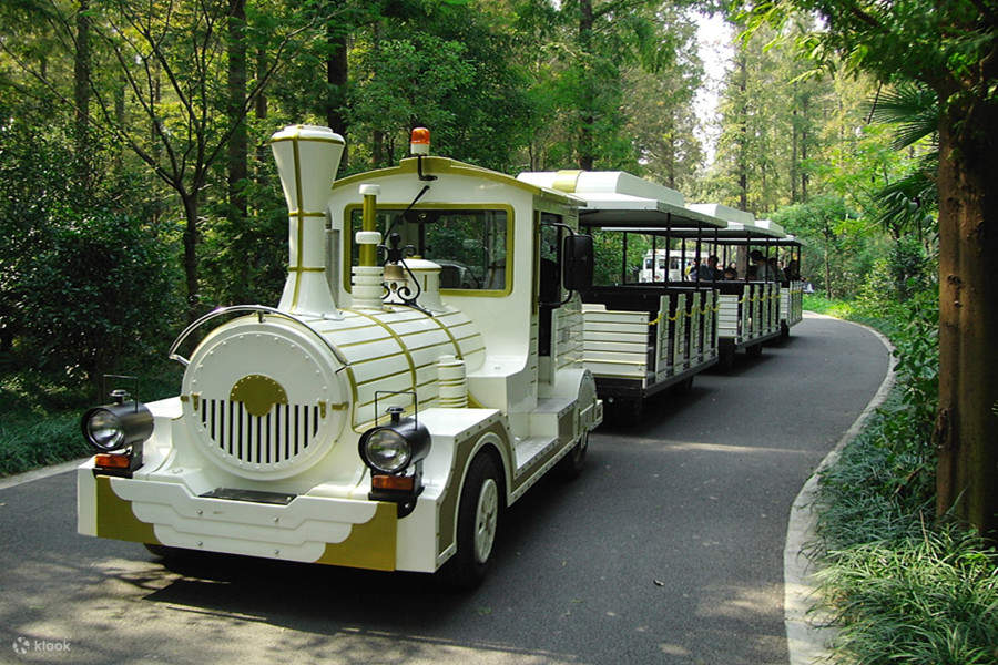 Dongping National Forest Park Ticket in Shanghai - Klook India